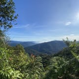 Mount Angsi, Negeri Sembilan, Malaysia - 1,048 Reviews, Map | AllTrails