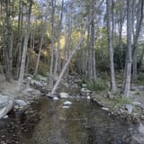 Etiwanda Falls Trail, California - 6,595 Reviews, Map | AllTrails