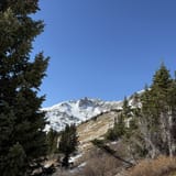 Herman Gulch Trail, Colorado - 9,699 Reviews, Map | AllTrails