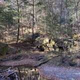 Gorge Overlook Loop via Buckeye Trail, Ohio - 4,015 Reviews, Map ...
