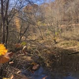 Moonville Tunnel Rail Trail: Tunnel Section, Ohio - 310 Reviews, Map ...