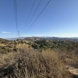 Runyon Canyon Trail, California - 7,336 Reviews, Map | AllTrails