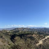 Runyon Canyon Trail, California - 7,336 Reviews, Map | AllTrails