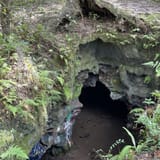 Dames Cave, Florida - 626 Reviews, Map | AllTrails