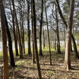 Couchville Lake Loop Trail, Tennessee - 1,309 Reviews, Map | AllTrails