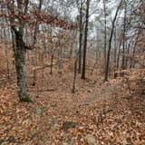 Whitaker Point Trail (Hawksbill Crag), Arkansas - 4,343 Reviews, Map ...