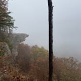 Whitaker Point Trail (Hawksbill Crag), Arkansas - 4,343 Reviews, Map ...