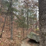 Whitaker Point Trail (Hawksbill Crag), Arkansas - 4,343 Reviews, Map ...