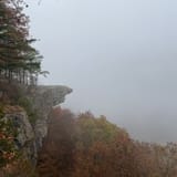 Whitaker Point Trail (Hawksbill Crag), Arkansas - 4,227 Reviews, Map ...