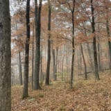 Whitaker Point Trail (Hawksbill Crag), Arkansas - 4,227 Reviews, Map ...