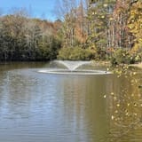 Deep Run Park Trails, Virginia - 1,306 Reviews, Map | AllTrails