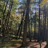 Gorge Overlook Loop via Buckeye Trail, Ohio - 4,015 Reviews, Map ...