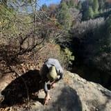 Gorge Overlook Loop via Buckeye Trail, Ohio - 4,015 Reviews, Map ...