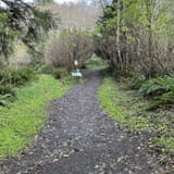 The Knoll Loop, Oregon - 3,714 Reviews, Map | AllTrails