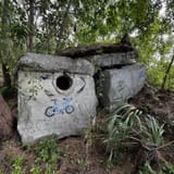 Virginia Key Trail, Florida - 1,380 Reviews, Map | AllTrails