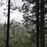 Mount Washington Trail, Washington - 3,012 Reviews, Map | AllTrails