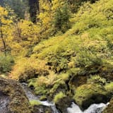 Watson Falls, Oregon - 1,303 Reviews, Map | AllTrails