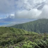 Waihe'e Ridge Trail, Maui, Hawaii - 9,811 Reviews, Map | AllTrails