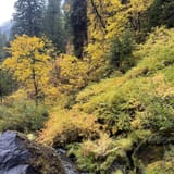 Watson Falls, Oregon - 1,303 Reviews, Map | AllTrails