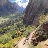 Angels Landing Trail, Utah - 30,181 Reviews, Map | AllTrails