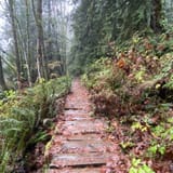 Heybrook Lookout Trail, Washington - 5,737 Reviews, Map | AllTrails