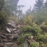 Heybrook Lookout Trail, Washington - 5,737 Reviews, Map | AllTrails