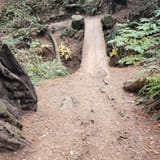 Bootjack Loop, California - 1,989 Reviews, Map | AllTrails