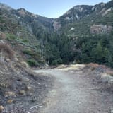Stoddard Peak, California - 2,521 Reviews, Map | AllTrails