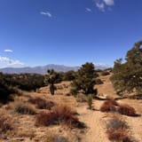 Warren Peak via Black Rock Trail and Panorama Loop, California - 1,096 ...