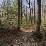 Wolf Rocks Trail, Pennsylvania - 1,567 Reviews, Map | AllTrails