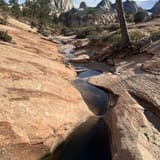 Many Pools Trail, Utah - 1,654 Reviews, Map | AllTrails