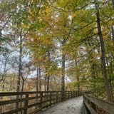 Saunders-Monticello Trail, Virginia - 1,634 Reviews, Map | AllTrails