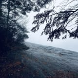 John Rock Trail Loop, North Carolina - 2,898 Reviews, Map | AllTrails