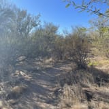 Apache Wash Loop Trail, Arizona - 2,168 Reviews, Map | AllTrails