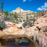 Many Pools Trail, Utah - 1,654 Reviews, Map | AllTrails