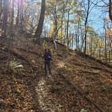 Three Ridges Loop via Appalachian Trail and Mau-Har Trail, Virginia ...