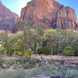Angels Landing Trail, Utah - 30,181 Reviews, Map | AllTrails