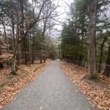 Quechee Gorge Trail, Vermont - 1,229 Reviews, Map | AllTrails