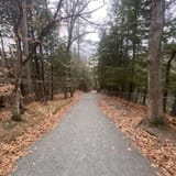 Quechee Gorge Trail, Vermont - 1,229 Reviews, Map | AllTrails