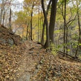 Kelly's Run Loop Trail, Pennsylvania - 3,963 Reviews, Map | AllTrails