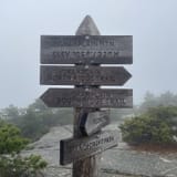 Precipice Loop, Maine - 5,491 Reviews, Map | AllTrails
