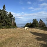 Mount Sunapee Summit Trail, New Hampshire - 837 Reviews, Map | AllTrails
