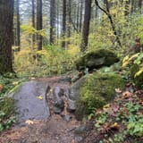 Angel's Rest, Oregon - 9,246 Reviews, Map | AllTrails