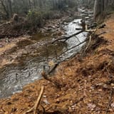 Big Berea Trail, Bull Creek Trail, and White Pine Loop, North Carolina ...
