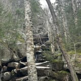 Champney Falls Trail, New Hampshire - 1,786 Reviews, Map | AllTrails