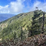 Myrtle Point and Mount LeConte via Alum Cave Trail, Tennessee - 3,823 ...