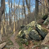 Hawksbill Loop Trail, Virginia - 5,338 Reviews, Map | AllTrails