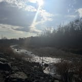 Levee Loop, Pennsylvania - 288 Reviews, Map | AllTrails