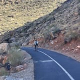 Virgin River Trail, Utah - 194 Reviews, Map | AllTrails