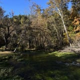 Alley Spring Overlook Trail, Missouri - 341 Reviews, Map | AllTrails